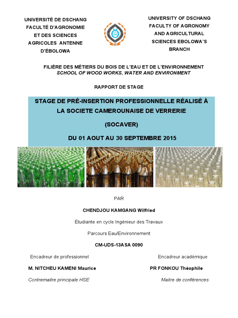 Rapport de Stage Socaver | PDF | Lunettes | Fusion (physique)