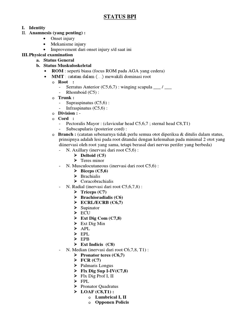 Status Bpi | PDF