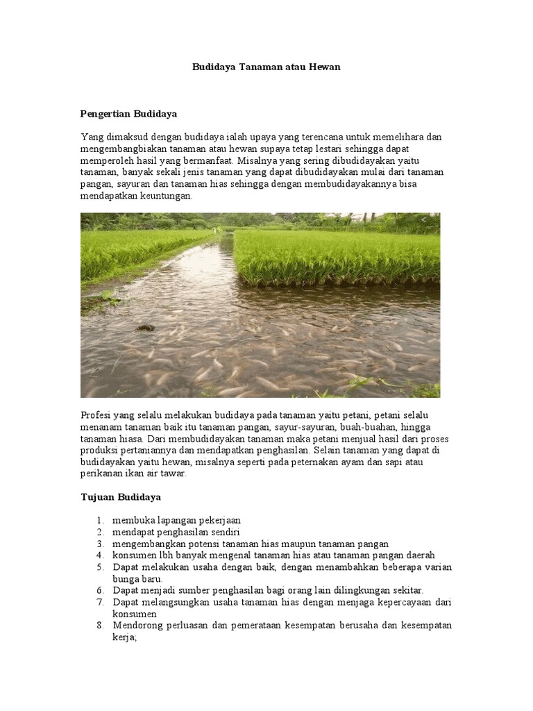 Pengertian dan Tujuan Budidaya Tanaman | PDF