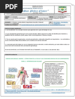 Ley 618 - Higiene y Seguridad Laboral | PDF | Seguridad y salud ocupacional