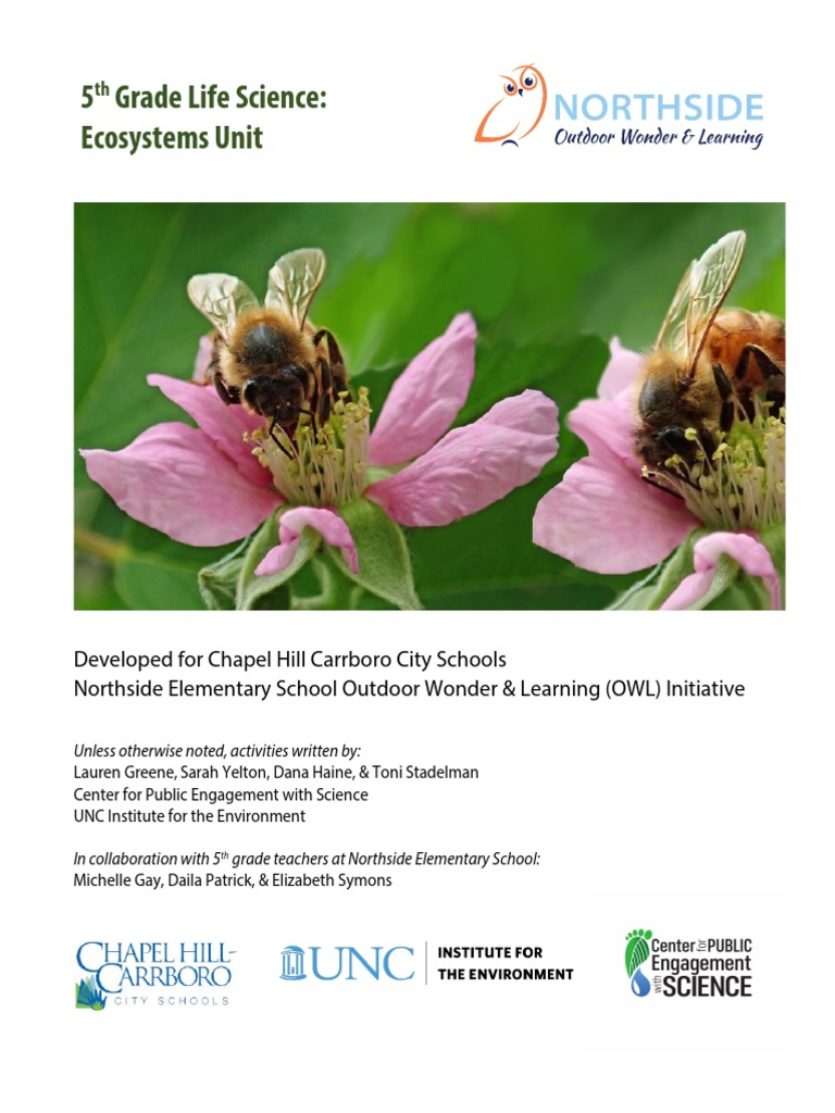 5th Grade Ecosystems Final Version Web | PDF | Aquatic Ecosystem ...