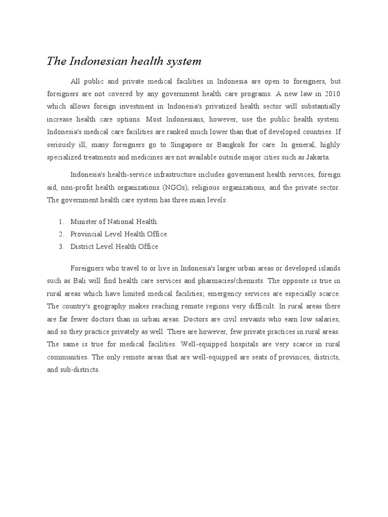 The Indonesian Health System | PDF