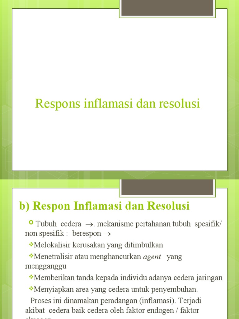 (Idk 2) Respon Inflamasi Dan Resolusi | PDF
