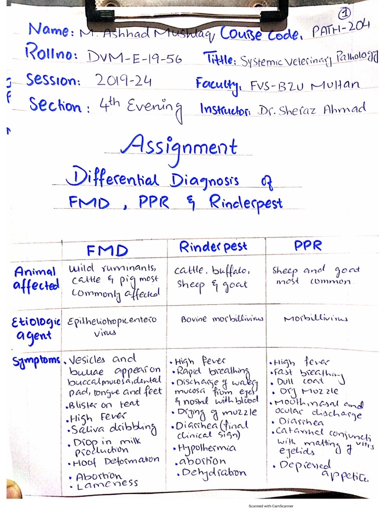 Differentials Diagnosis of FMD, PPR and Rinderpest | PDF