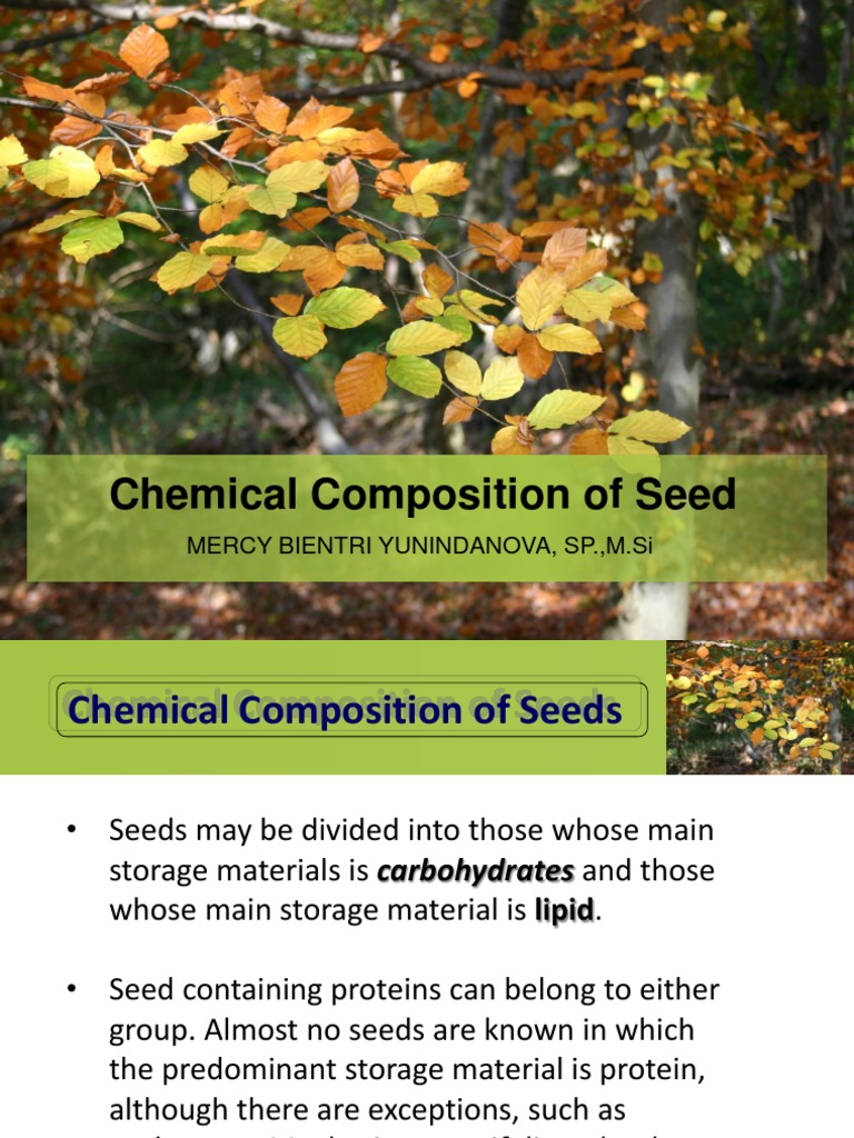 Seed Chemical Composition Overview | PDF | Seed | Soybean