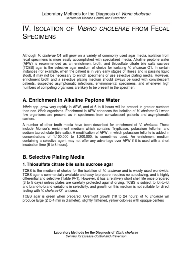 Laboratory Methods For The Diagnosis of Vibrio Cholerae Chapter 4 | PDF ...