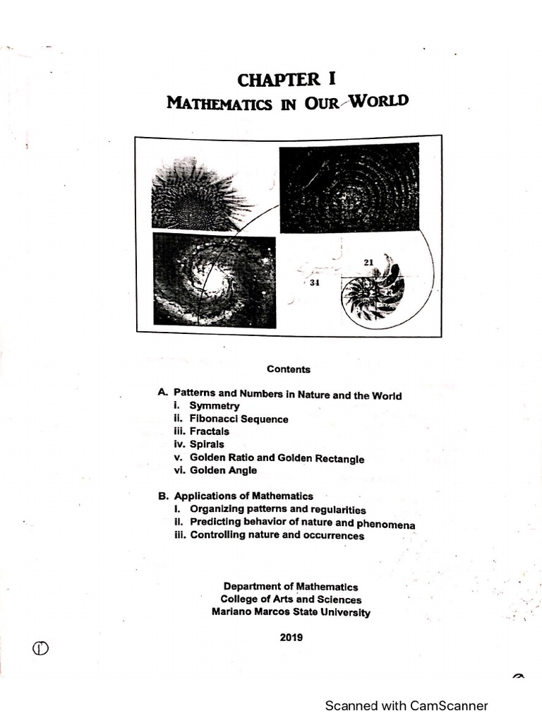Mathematics in Our World | PDF