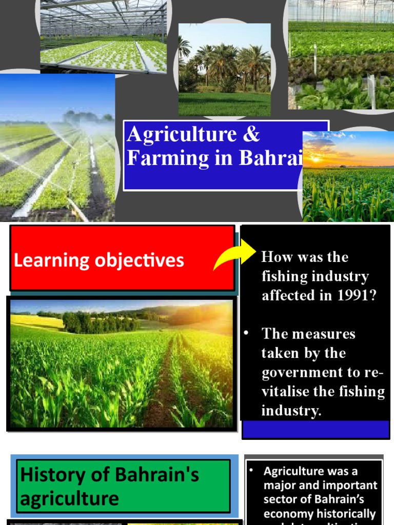 Agriculture and Farming in Bahrain | PDF | Vegetables | Agriculture