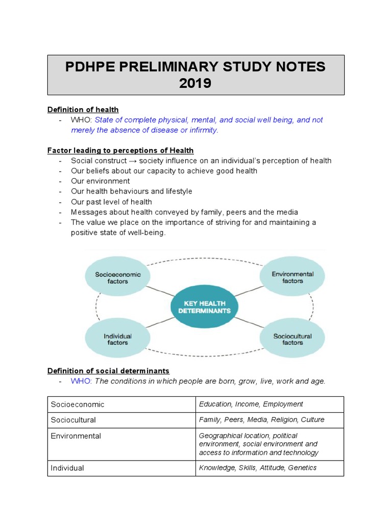 PE Study Notes | PDF | Anatomical Terms Of Motion | Artery