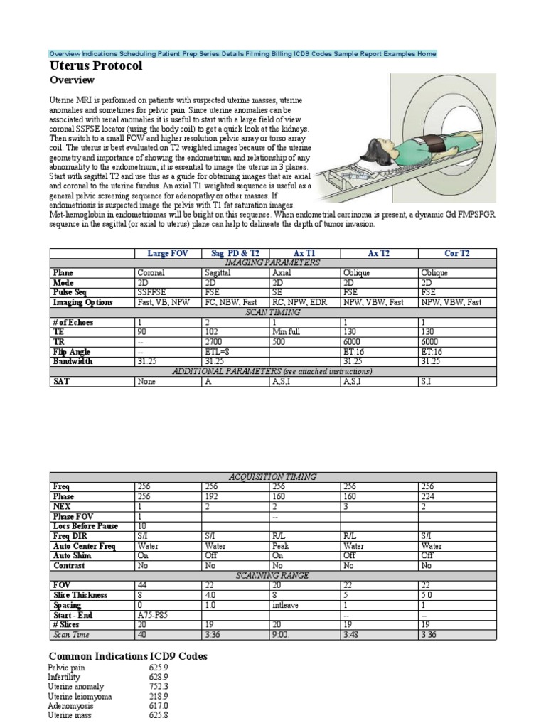 UTERUS | PDF | Uterus | Female Mammals