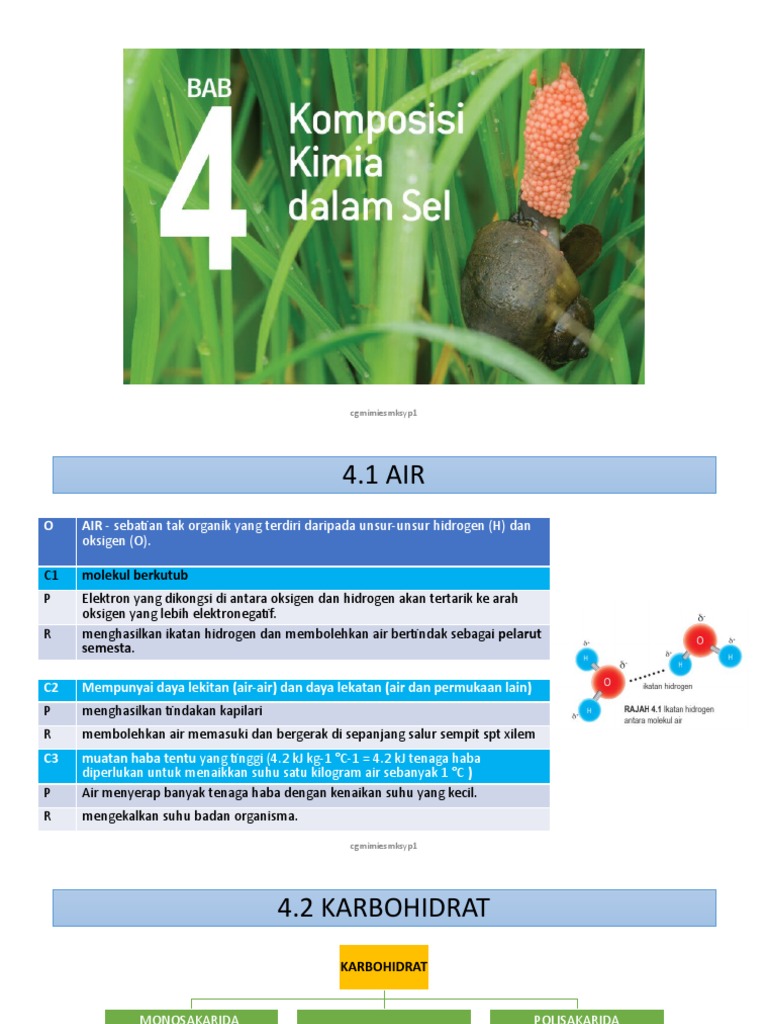 Bab 4 f4 | PDF