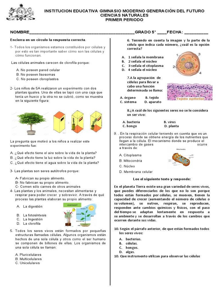 Evaluación de Ciencias Quinto Grado | PDF | Plantas | Biología Celular)