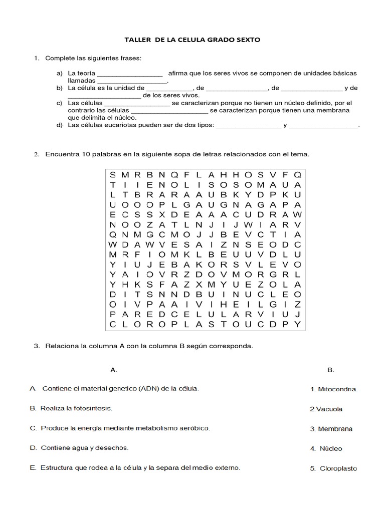 Taller de la Célula para Sexto Grado | PDF