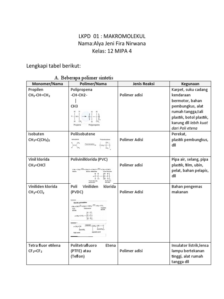 LKPD 01 Makromolekul | PDF