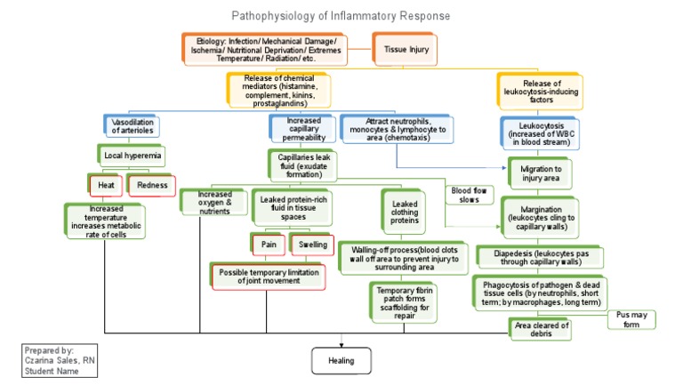 Inflammatory Response Flow Chart