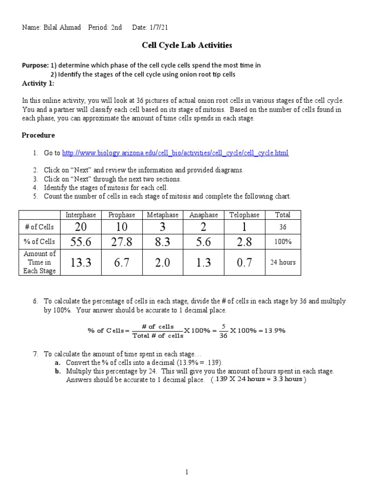 Lab Activities Mitosis | PDF | Mitosis | Cell Cycle