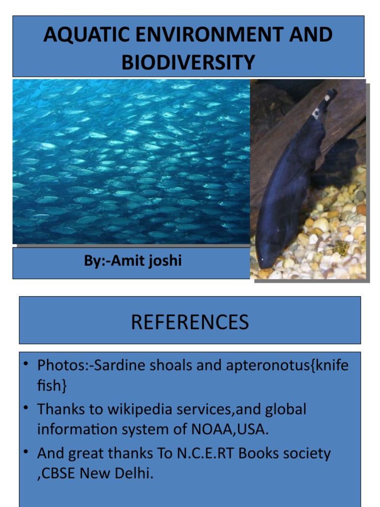 Aquatic Environment and Biodiversity | PDF | Conservation | Primary ...