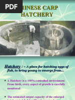 Fish Names in Marathi | PDF | Fishing Industry | Aquatic Animals