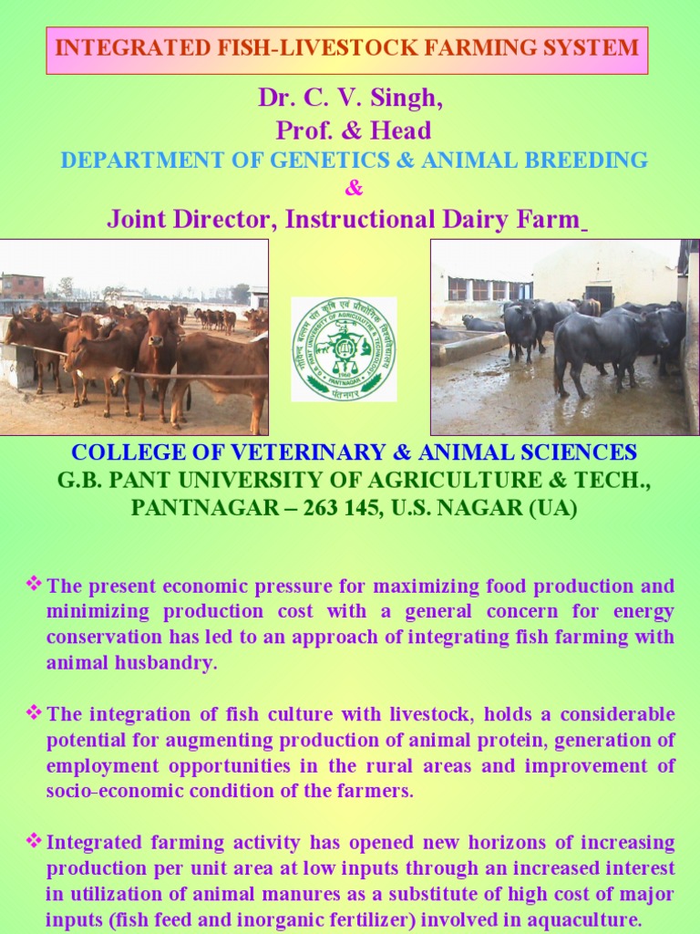 Integrated Fish-Livestock Farming System | PDF | Agriculture | Livestock