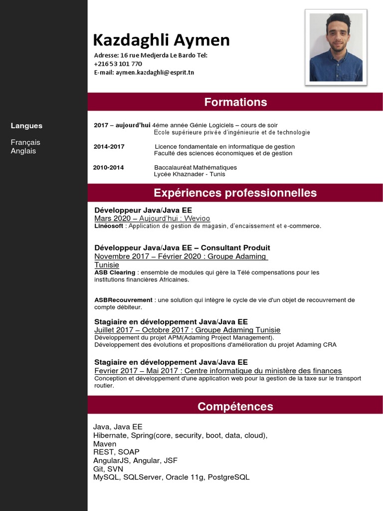 CV Kazdaghli Aymen | PDF | Affaires | Ordinateurs