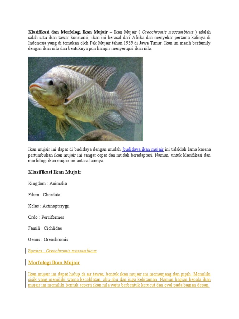 Klasifikasi Dan Morfologi Ikan Mujair | PDF