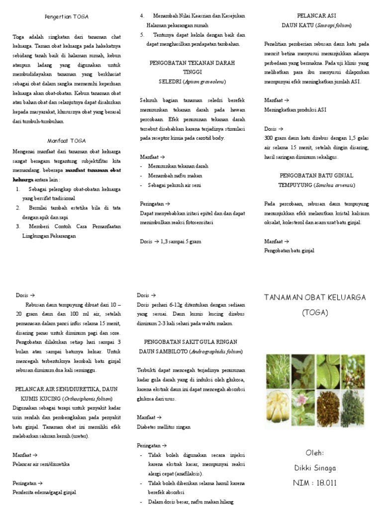 Liflet Dikki 3 | PDF | Kesehatan Holistik