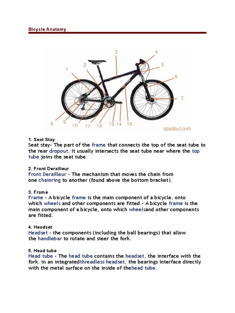 Bicycle Anatomy | PDF