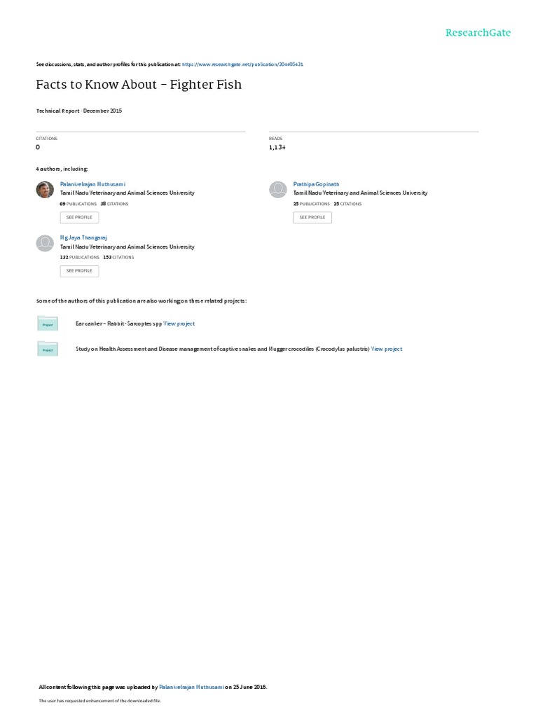 Facts To Know About Fighter Fish | PDF