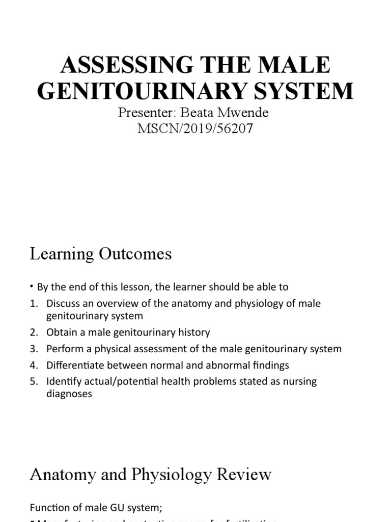 Assessing the Male Genitourinary System: A Comprehensive Guide to the ...