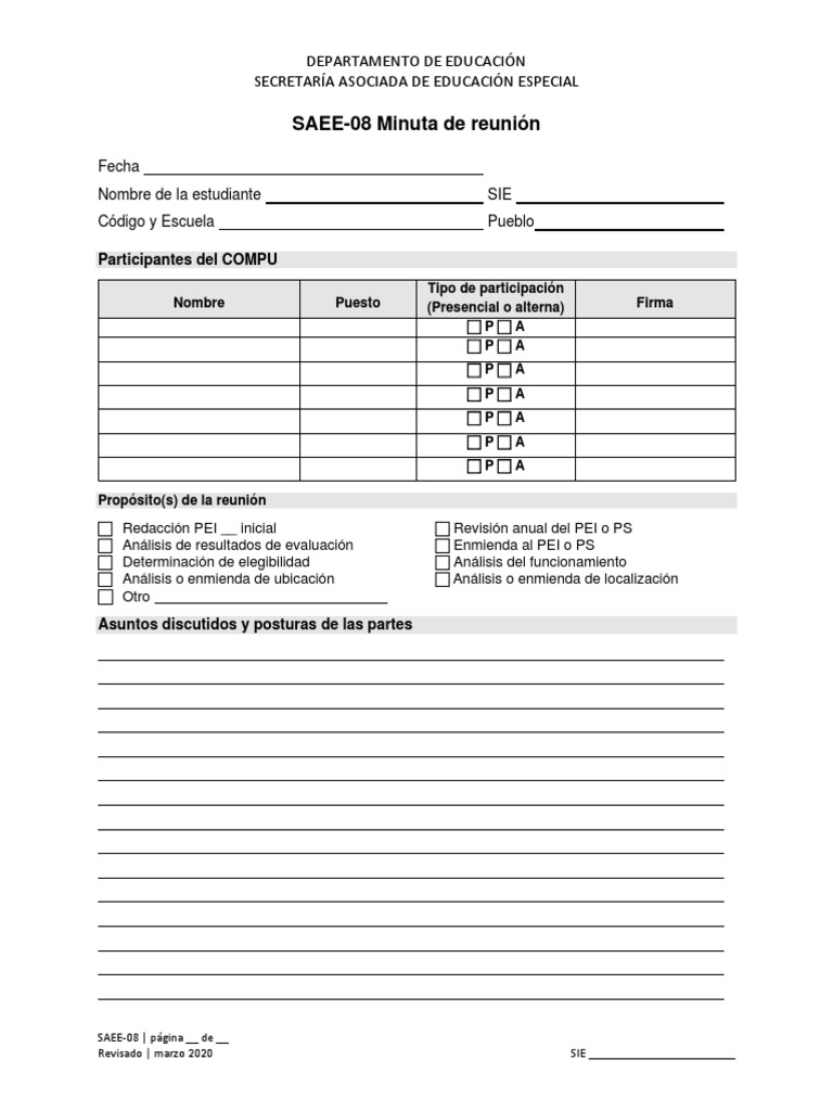 Saee 08 Minuta de Reunion | PDF
