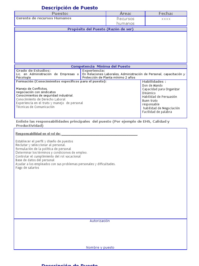 Formato descripción de puesto
