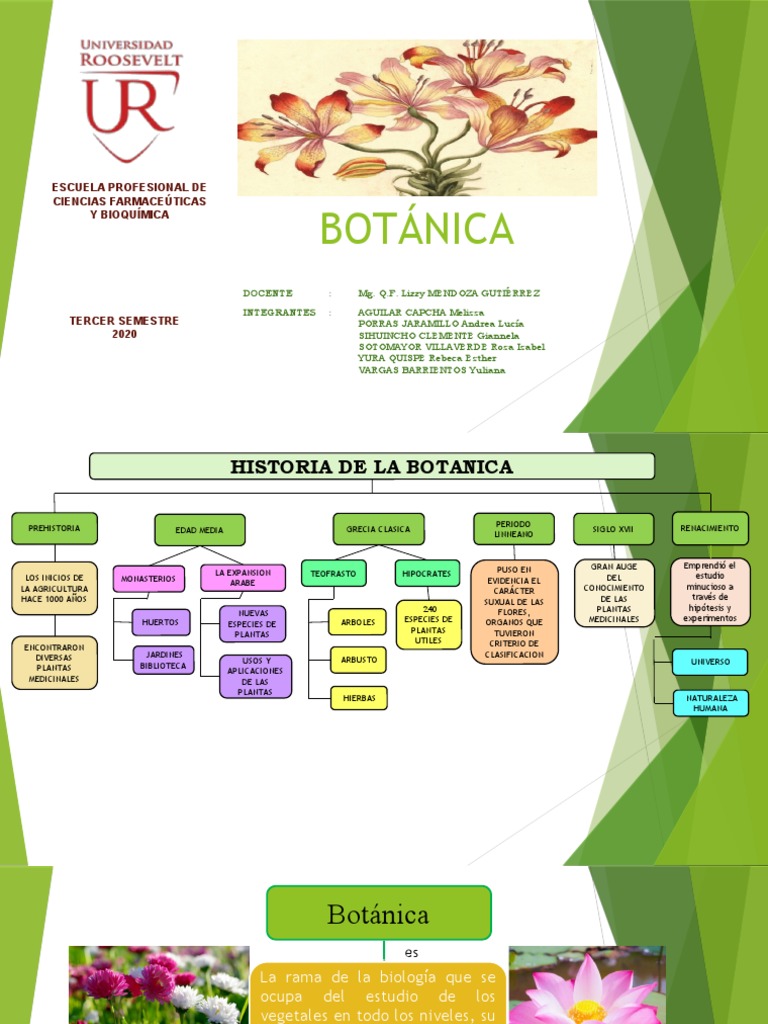 Introducción a la Botánica General | PDF | Botánica | Plantas