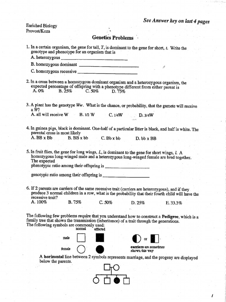 Genetics Problem Packet KEY | PDF