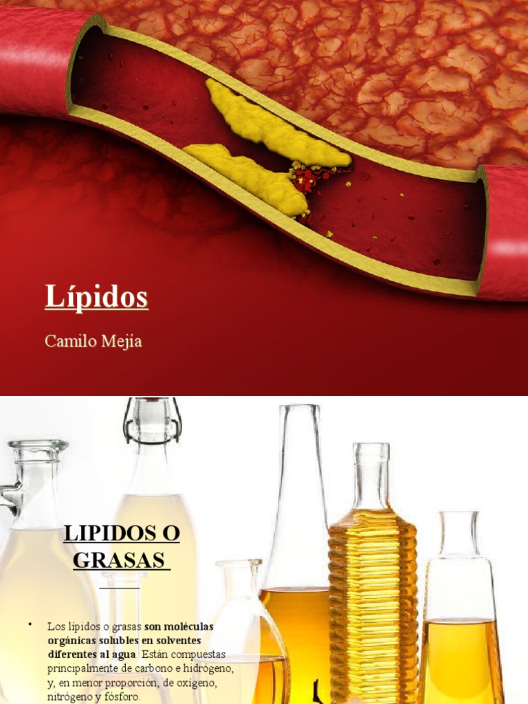 Presentación Lípidos | PDF | gordo | Lípido