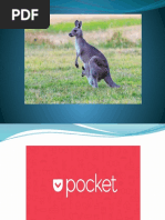 Types of Pockets... | PDF