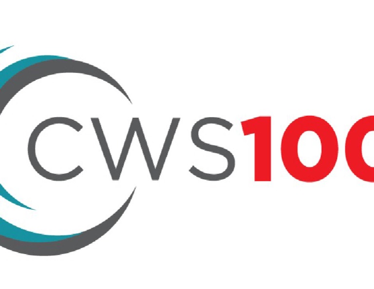 Cws 100 | PDF