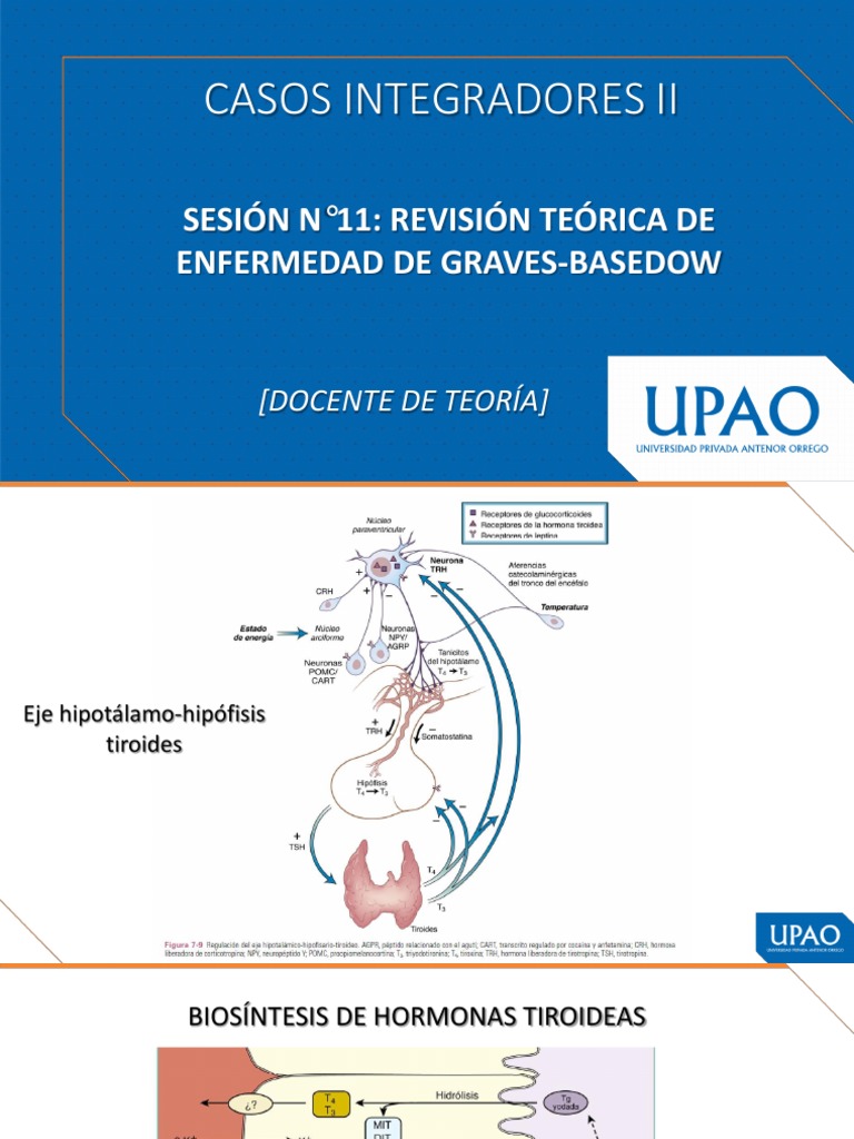 Enfermedad de Graves-Basedow | PDF