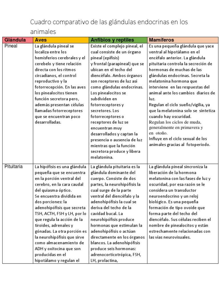 Glándulas Cuadro Comparativo | PDF | Páncreas | Glándula pituitaria