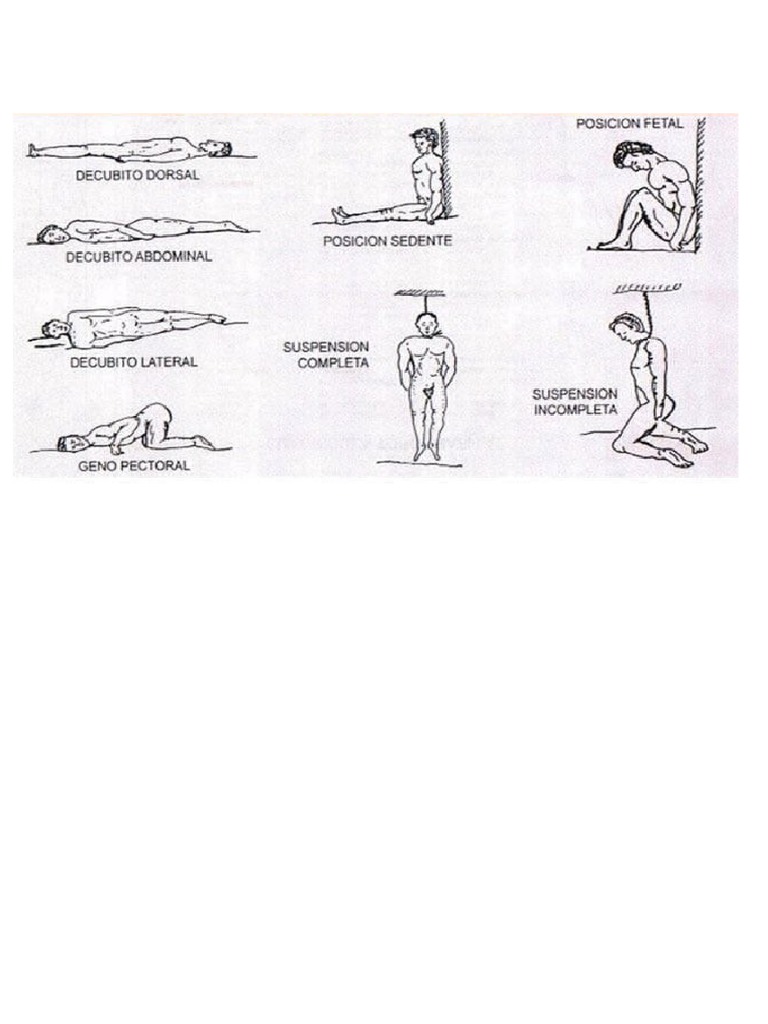 Posiciones Cadavericas | PDF