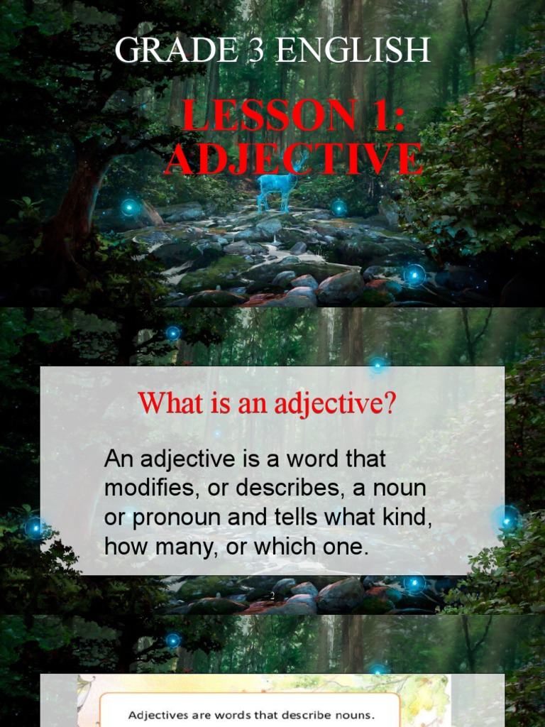 Adjective As Modifier | PDF