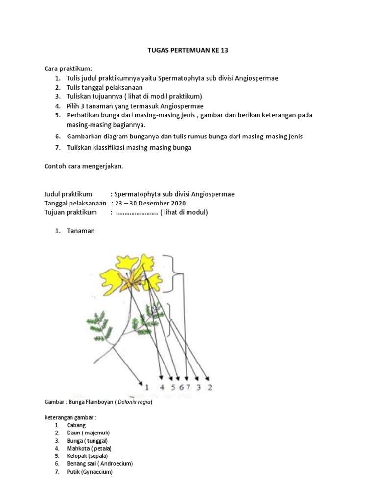 Tugas Angiospermae | PDF | Griya & Taman