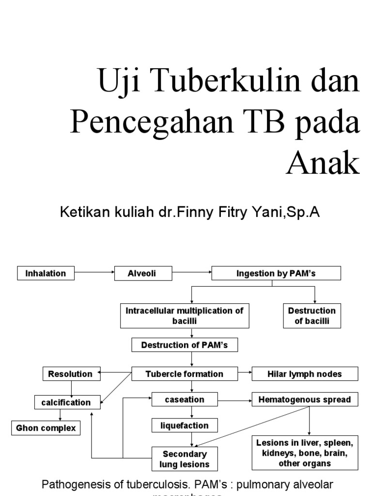 Uji Tuberkulin Dan Pencegahan TB Pada Anak: Ketikan Kuliah DR - Finny ...