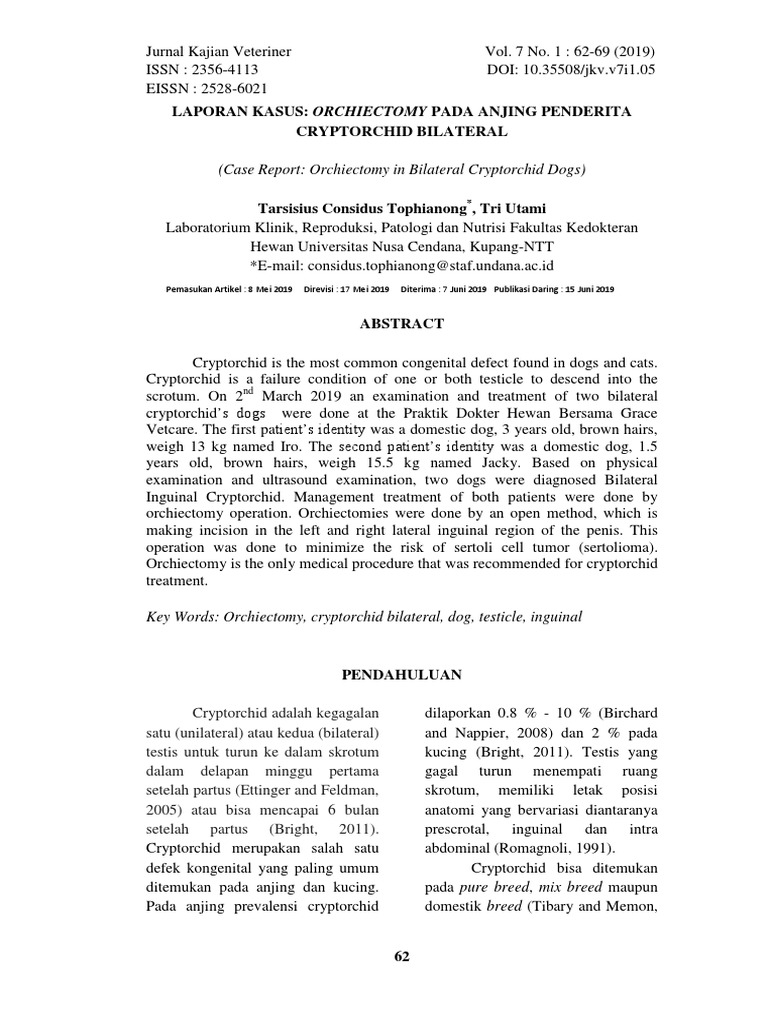 Case Report: Orchiectomy in Bilateral Cryptorchid Dogs | PDF | Anatomy ...