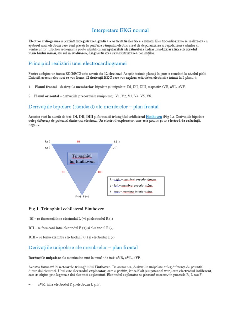 Explicatie EKG | PDF