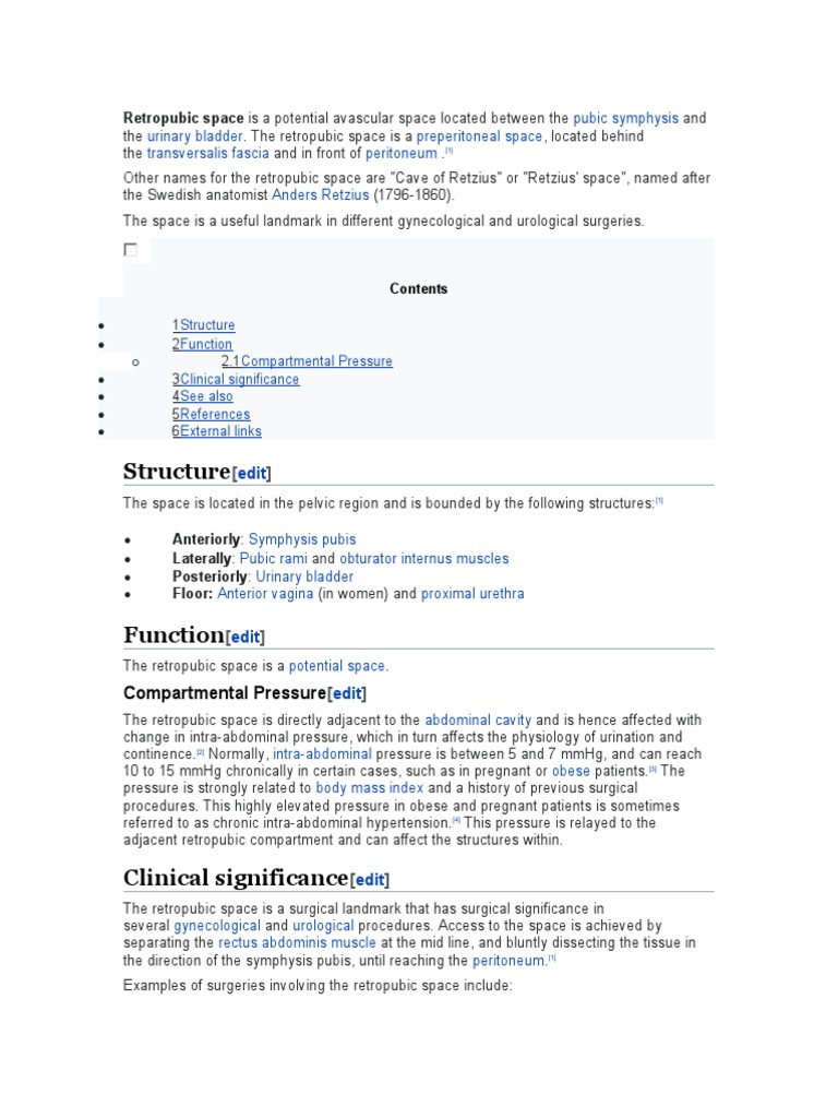 Retropubic Space | PDF | Anatomy | Abdomen