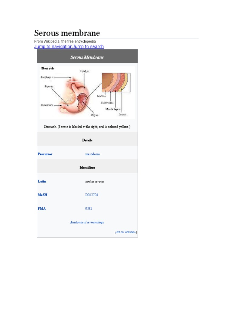 Serous Membrane | PDF | Anatomy | Digestive System