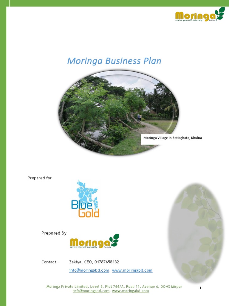 Moringa Business Plan: Prepared by | PDF | Marketing Strategy ...