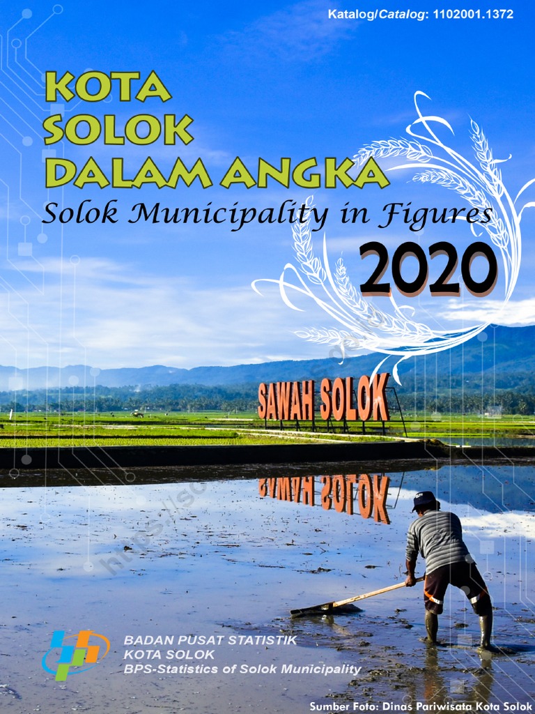 Kota Solok Dalam Angka 2020 | PDF