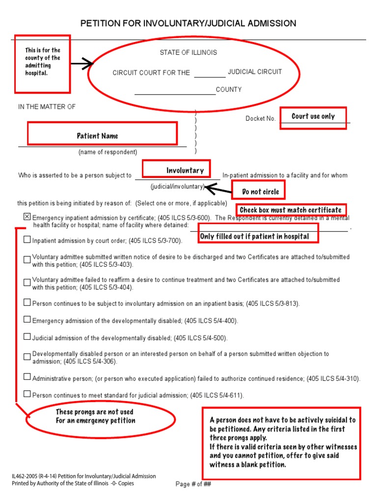 Petition For Involuntary/Judicial Admission: Court Use Only | PDF ...