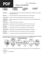 Amoeba Sisters Cell Cycle-1 | PDF | Mitosis | Chromosome